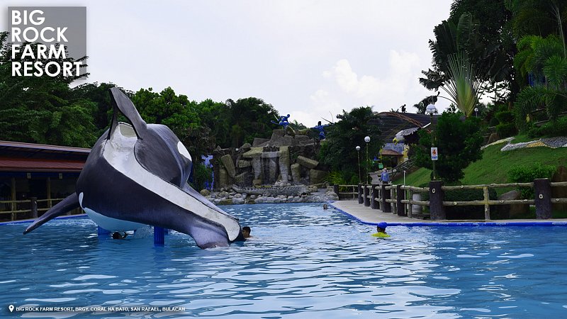 Pools - Big Rock Farm Resort